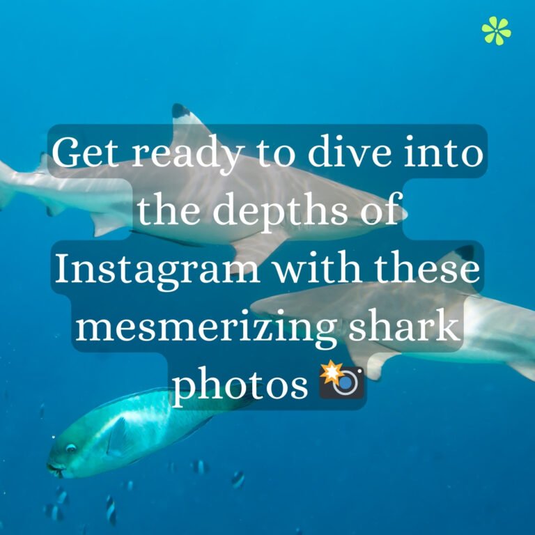Jawsome Moments: Dive into Over 200 Captivating Shark Captions!