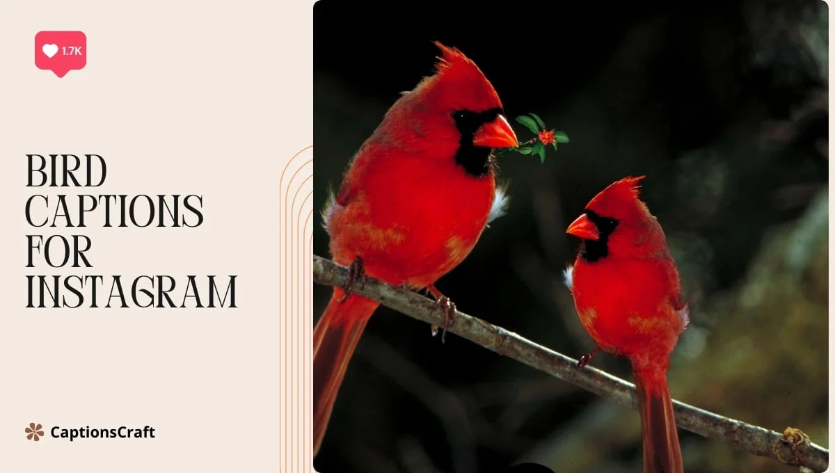 Bird Captions For Instagram: 300+ The Perfect Words to Enhance Your ...