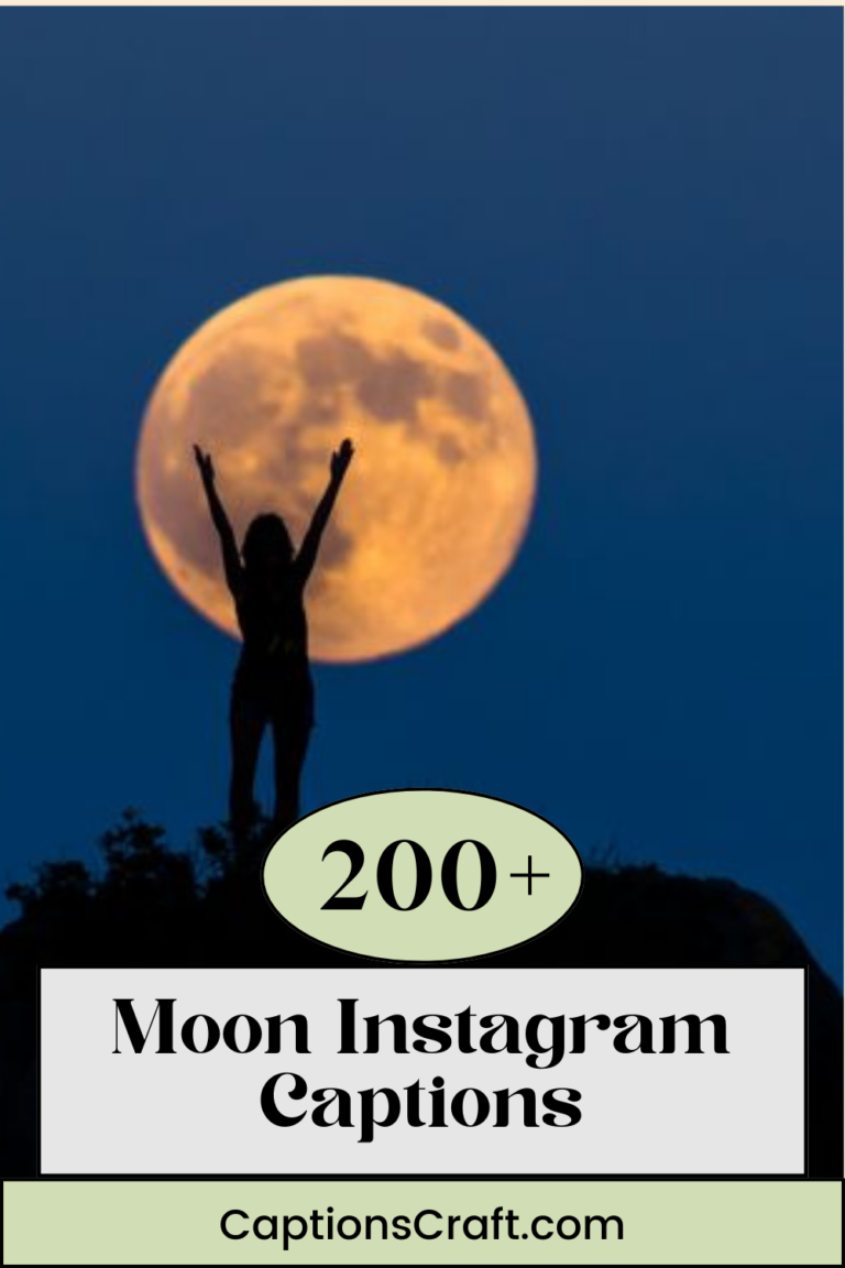 200+ Moon Instagram Captions To Light Up Your Night Feed