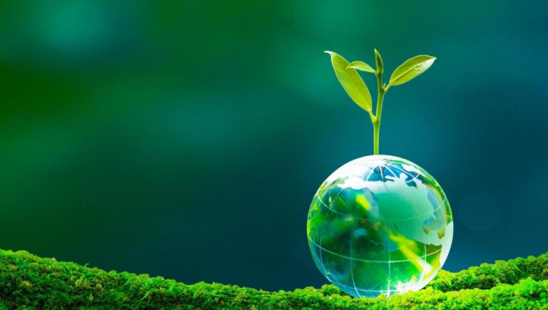 200+ Green Quotes To Inspire A Sustainable Mindset Today