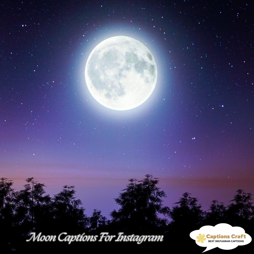 135+ Magical Moon Captions For Instagram And Inspiring Quotes To Shine ...